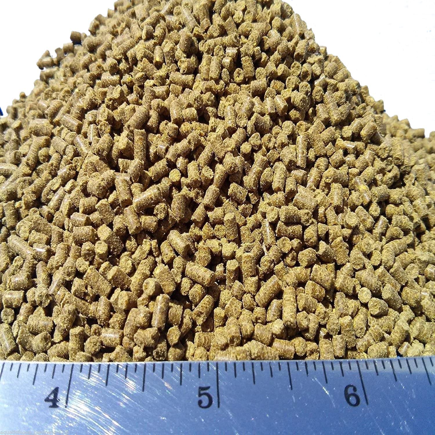 4mm+ (Large Pellets) Archives - Blackworms.com